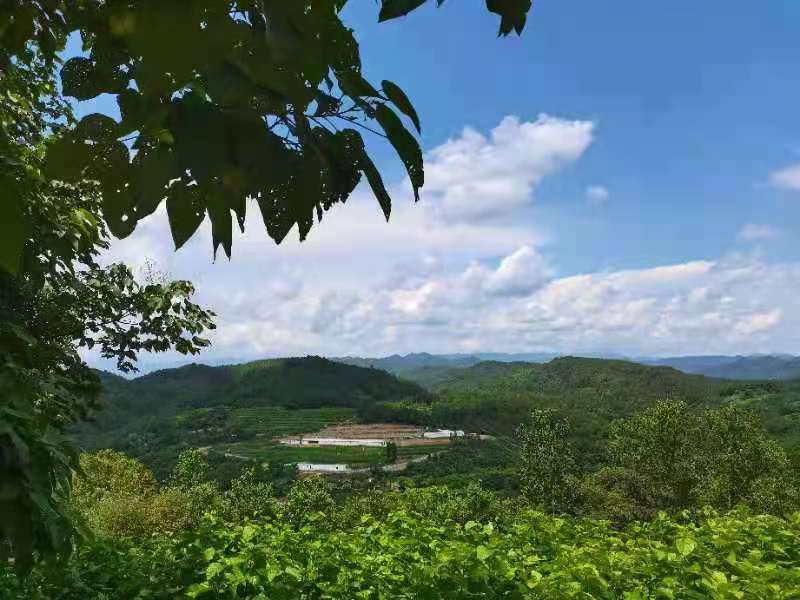 陕西杰鹏安农业生物科技有限公司